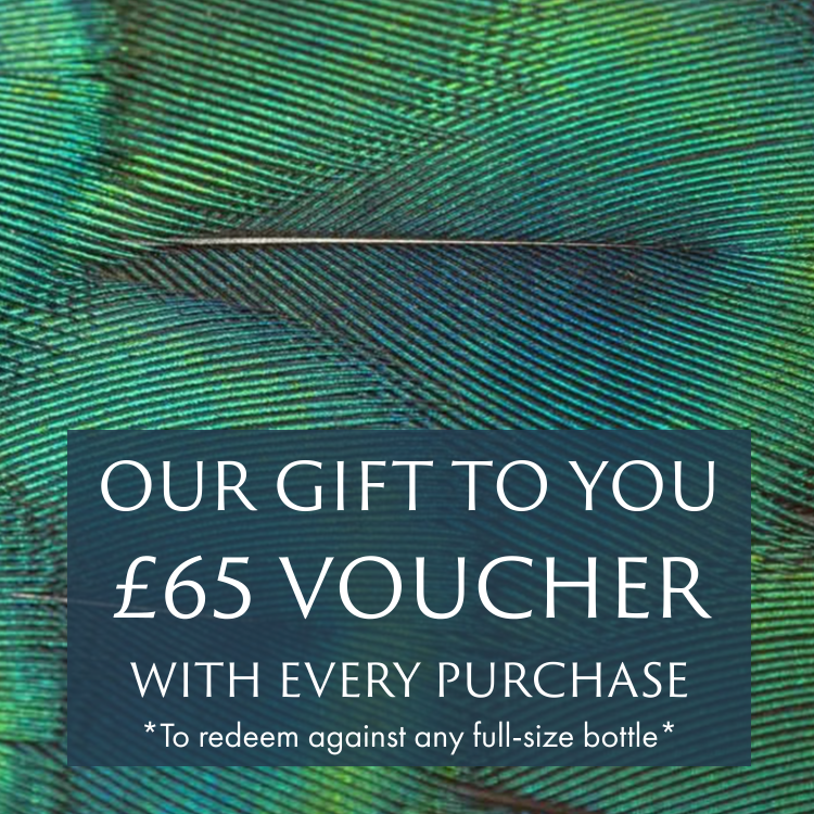 SUMMER SAMPLE SET – ELECTIMUSS