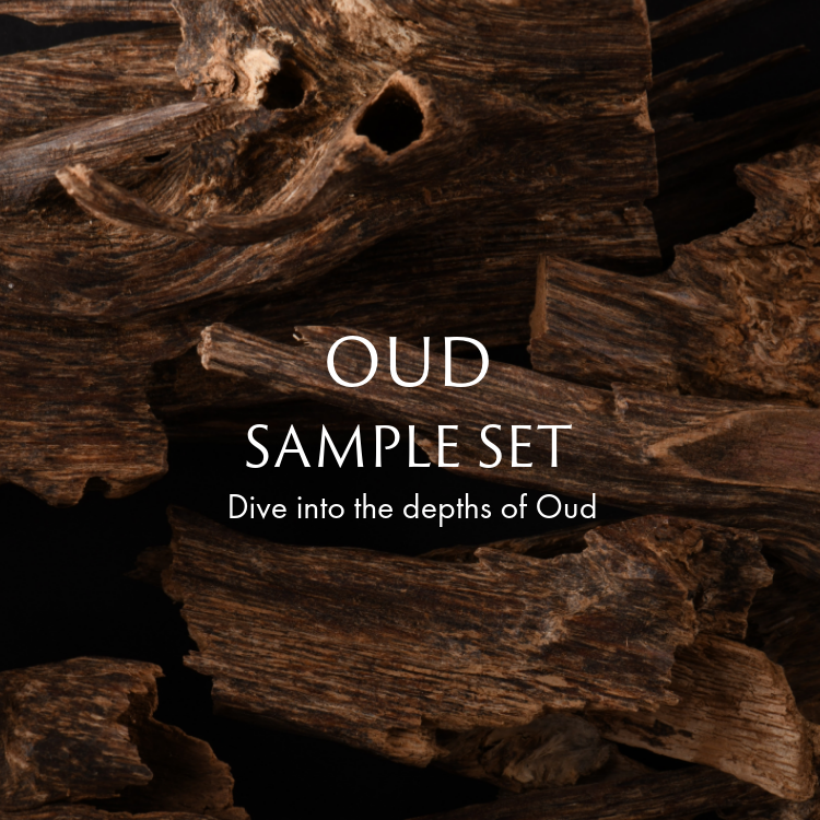 OUD SAMPLE SET | Electimuss