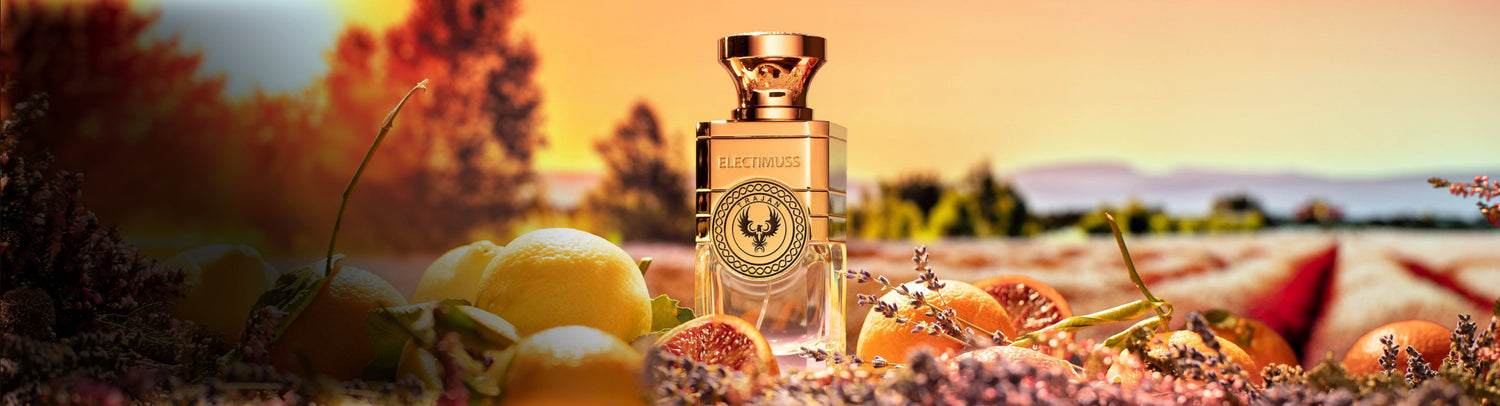 TRAJAN by ELECTIMUSS - 100ml perfume bottle & Travel sets | Electimuss