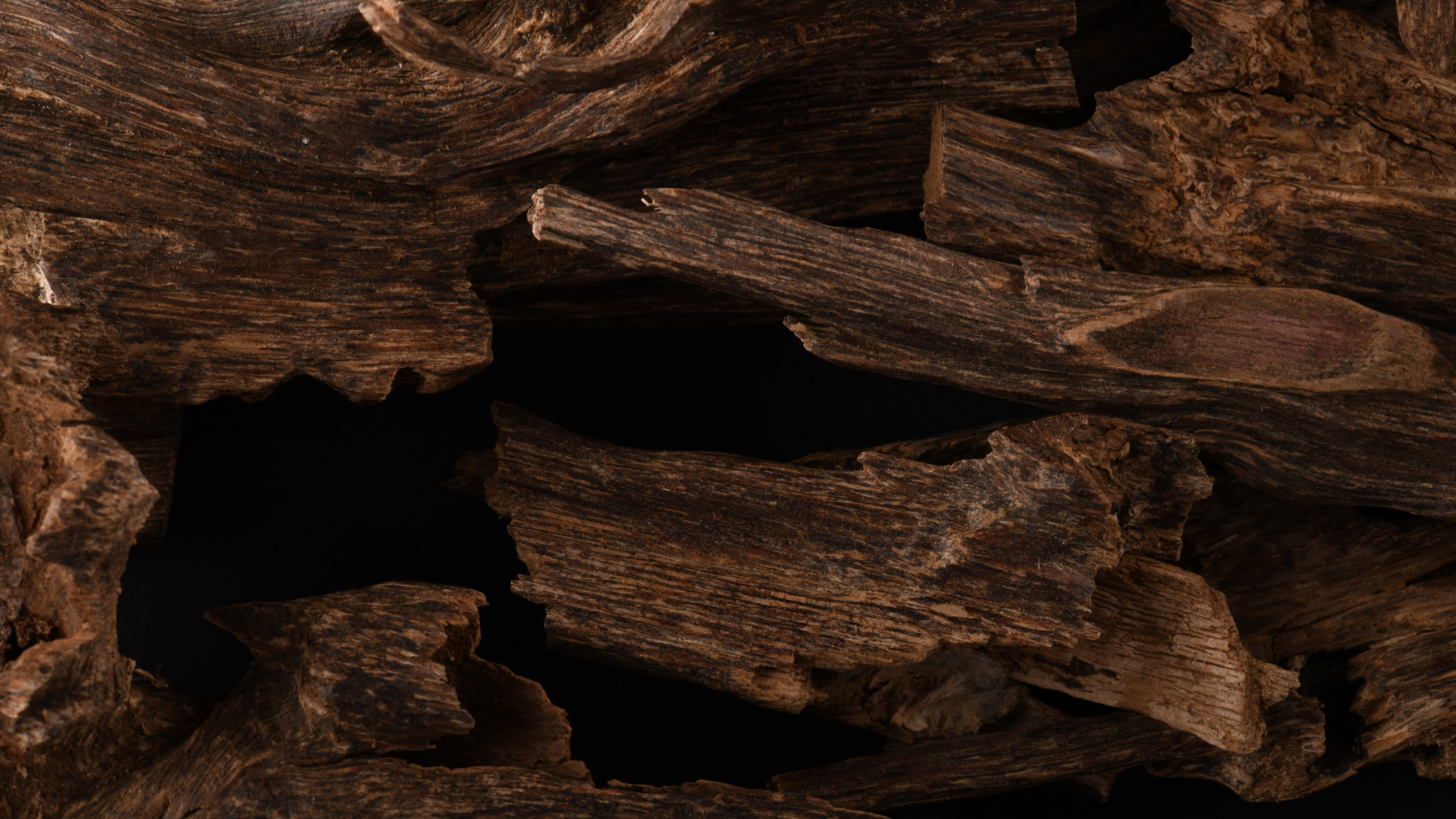 OUD SAMPLE SET – Electimuss